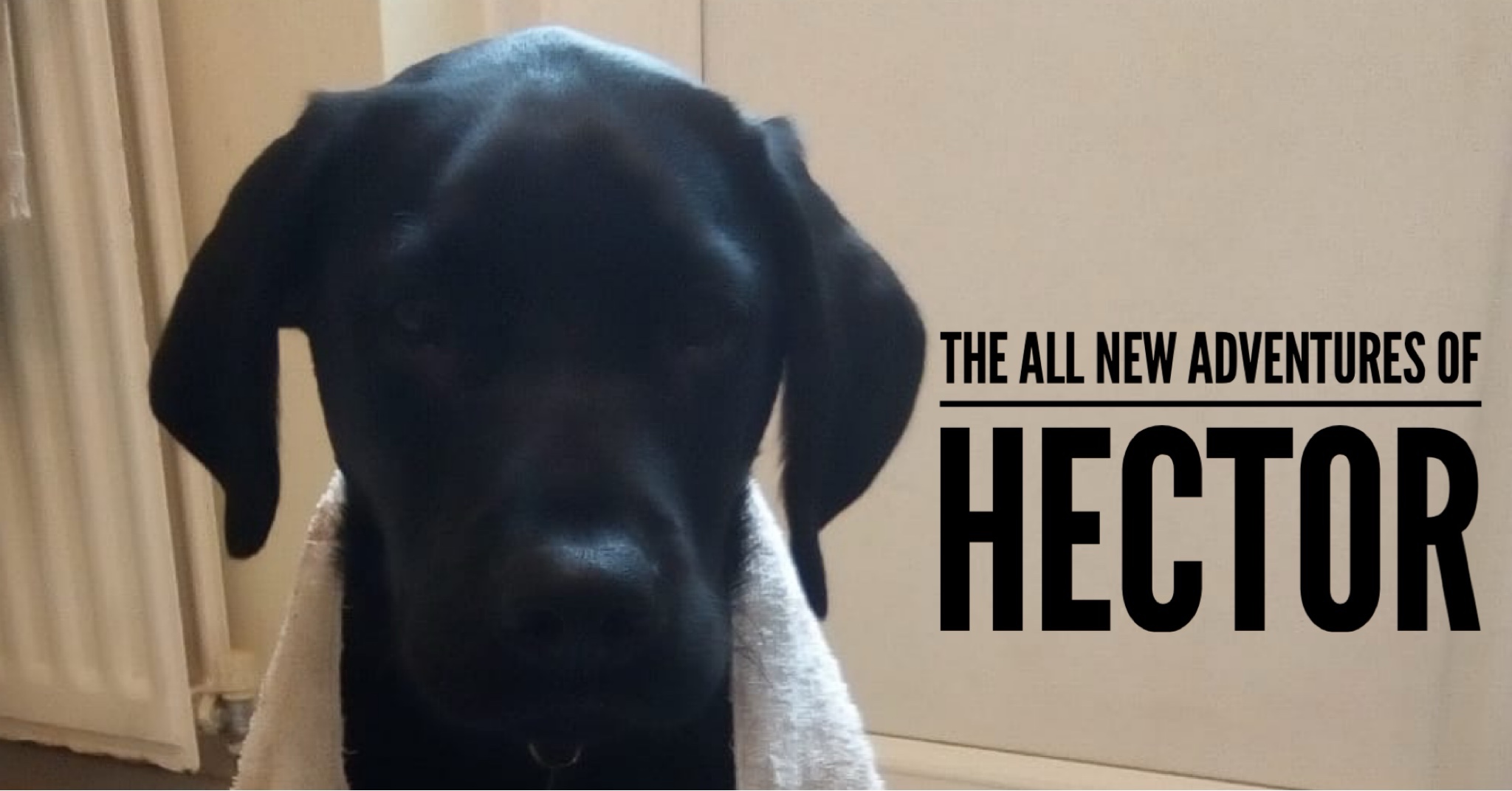 THE ALL NEW ADVENTURES OF HECTOR – Some musings